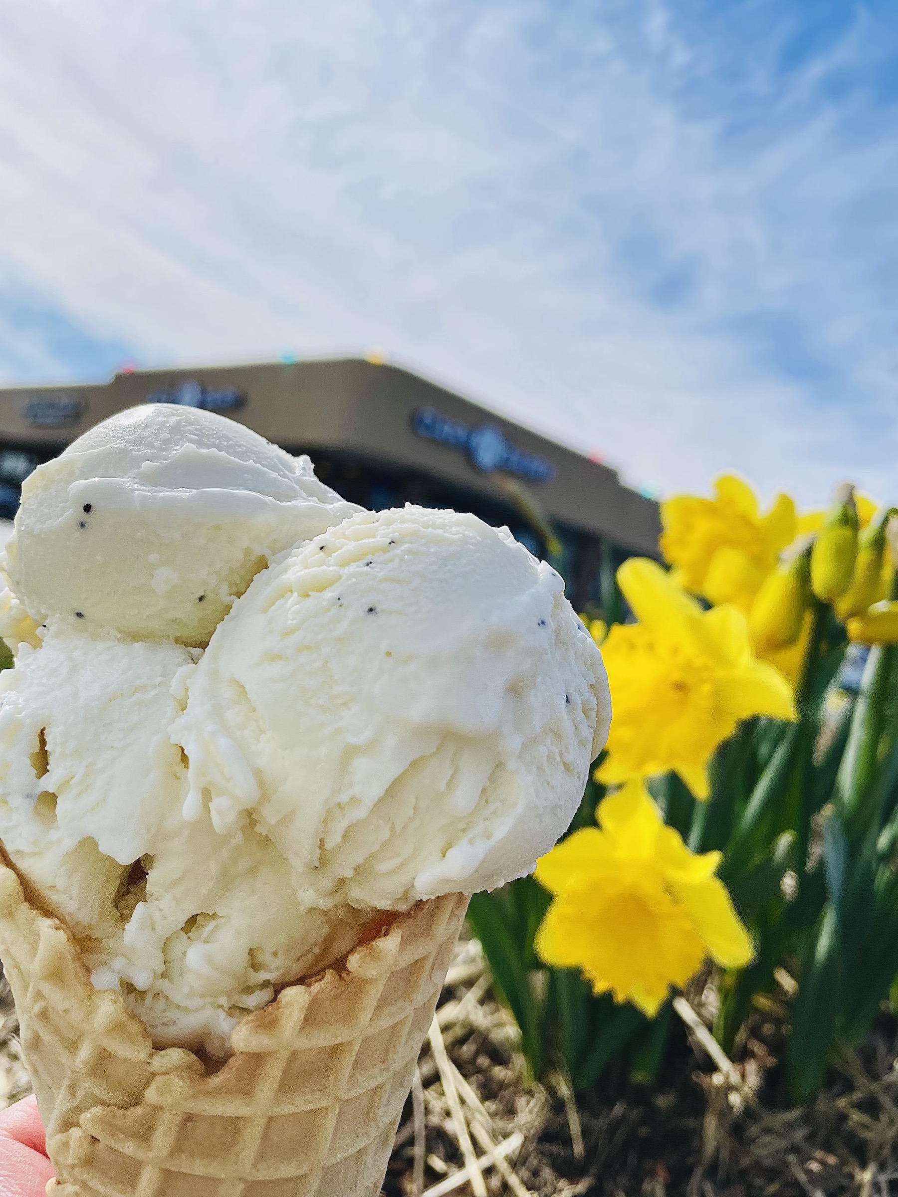 Cary Dairy Ice Cream Café – We Cary Memories;